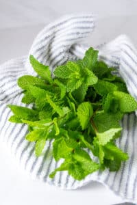 All About Fresh Mint - Life Currents