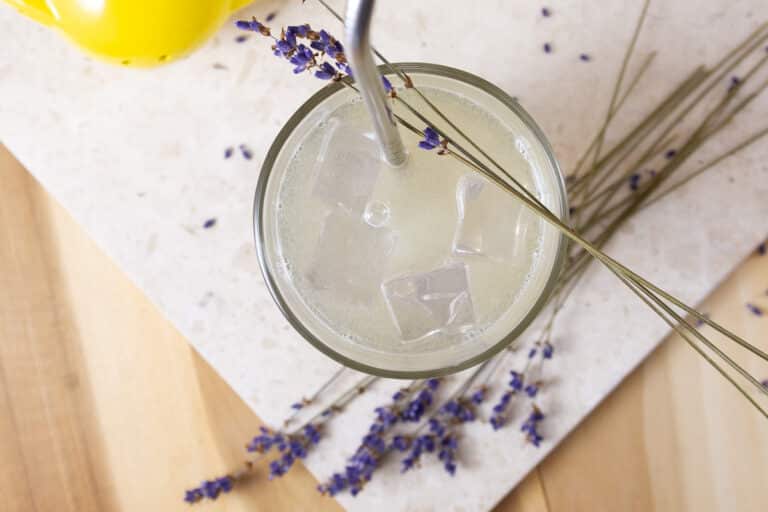 Summer Sips - Life Currents