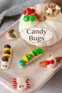Candy Bugs Recipe - Life Currents